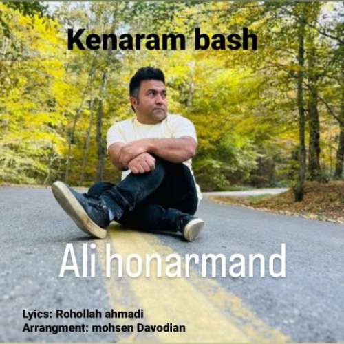 دانلود آهنگ علی هنرمند کنارم باشی MP3 کیفیت کامل